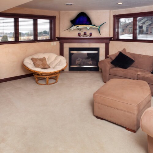 Stunning 58'' Sailfish Half-side Fish Mount - Beautifully Painted and ...