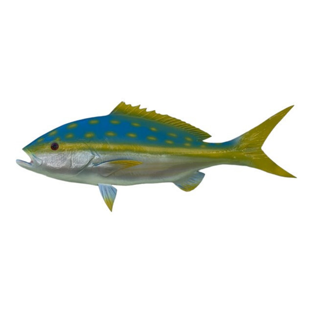 28'' Yellowtail Snapper Half-side Fish Mount - Beautifully Painted and ...
