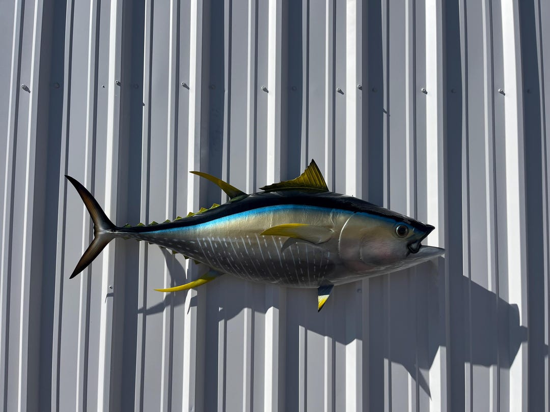 55” Yellowfin Tuna Half Sided Fish Mount - Etsy UK