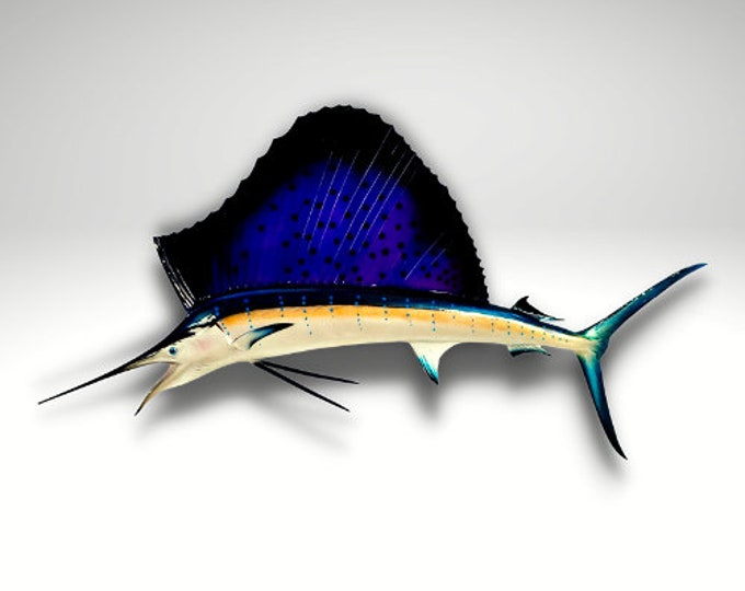 Stunning 58'' Sailfish Half-side Fish Mount Beautifully Painted and ...