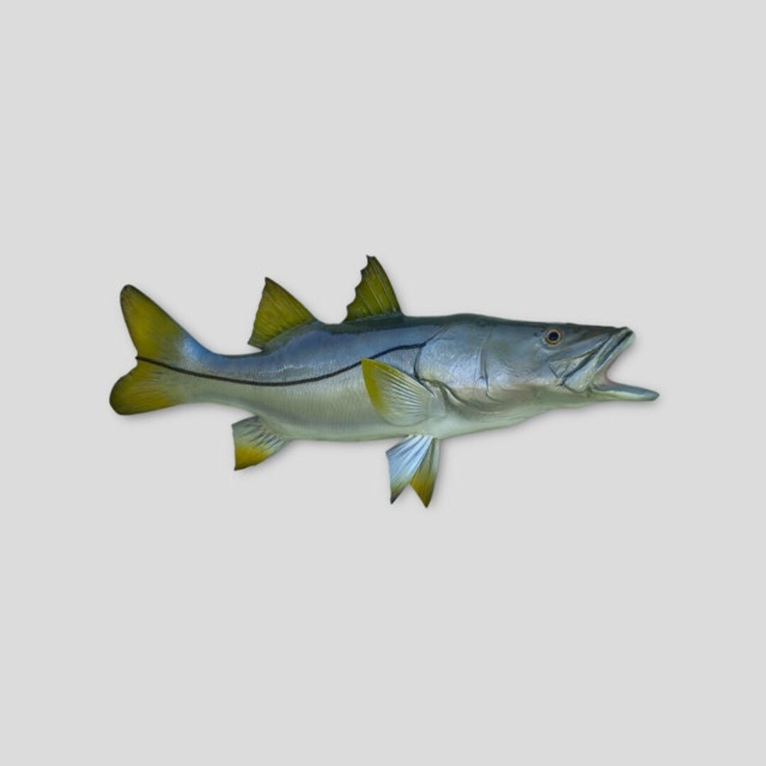 27'' Snook Half-side Fish Mount - Expertly Painted and Ready to Hang ...