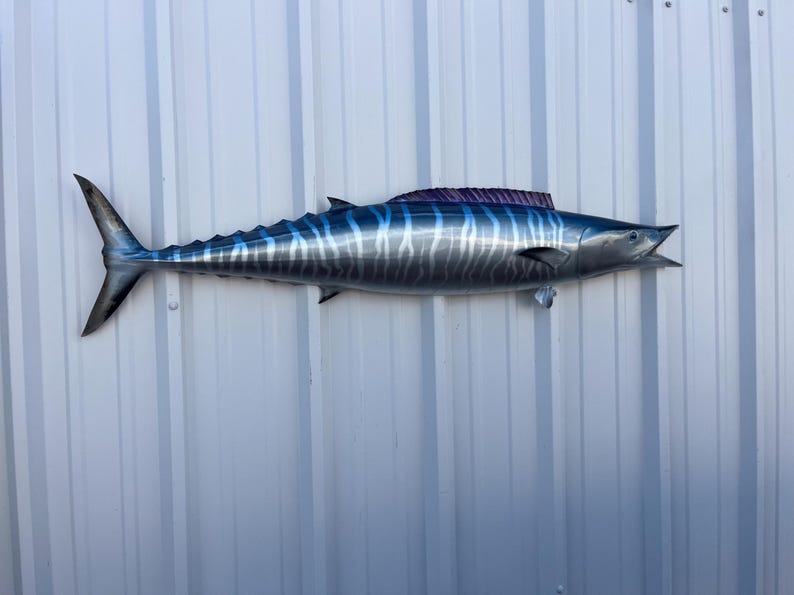 60” Wahoo Half Sided Fish Mount - Etsy