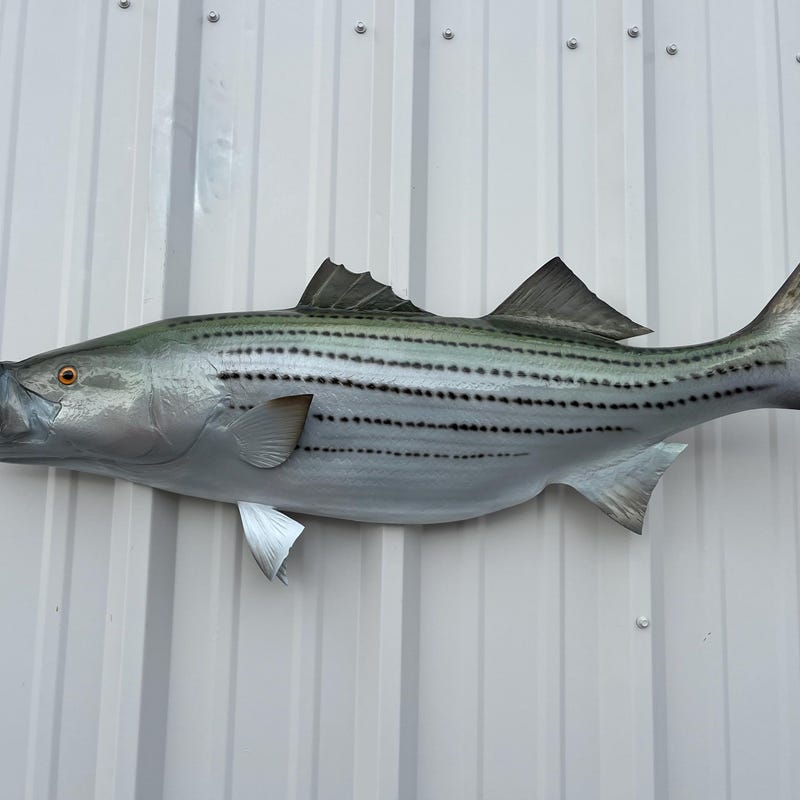 Bass Replica Fish - Etsy