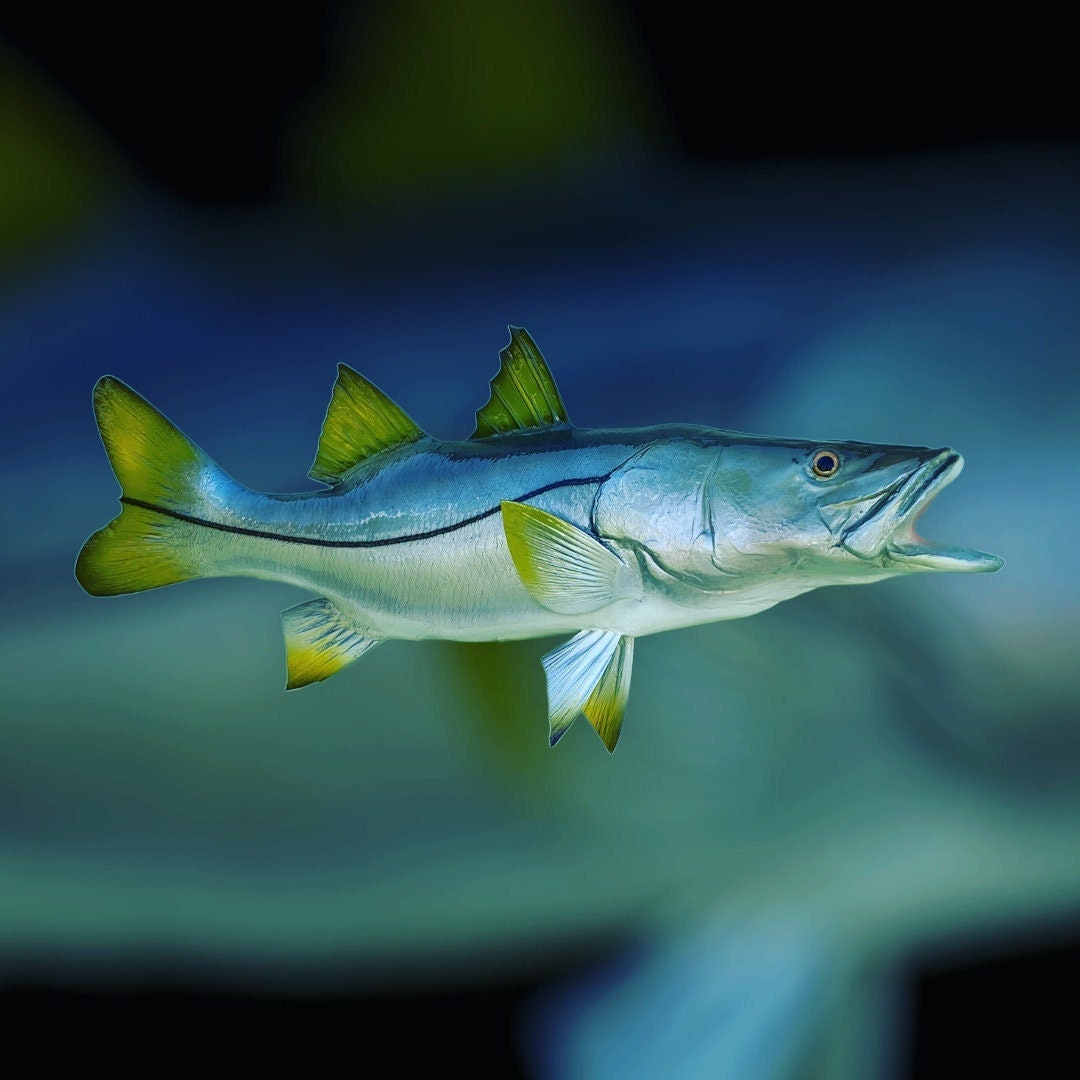27'' Snook Half-side Fish Mount Expertly Painted and Ready to Hang - Etsy