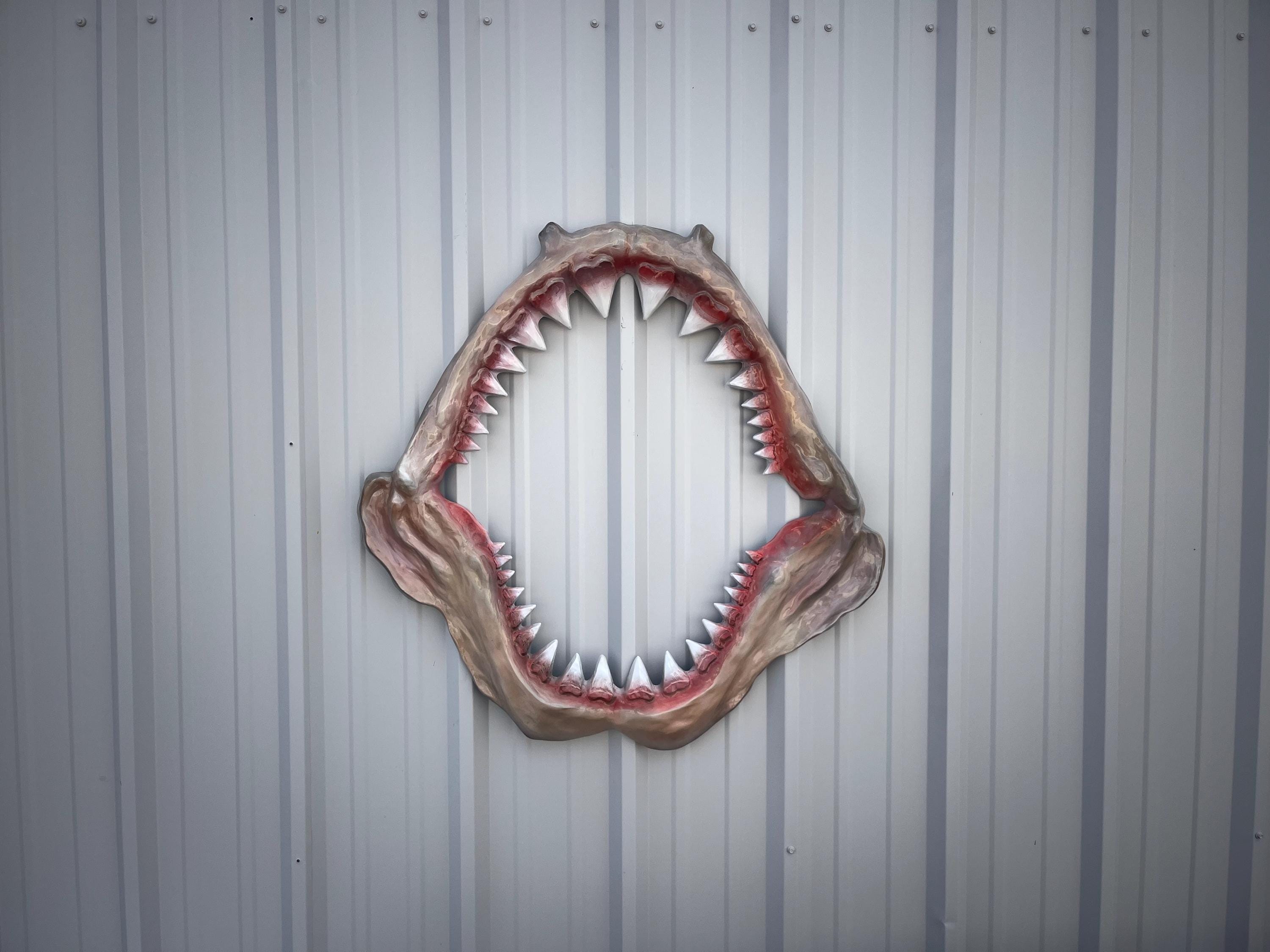 36” Giant Shark Jaws - Etsy