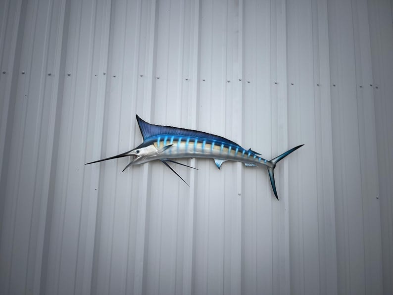 59” Blue Marlin Fish Mount - Etsy