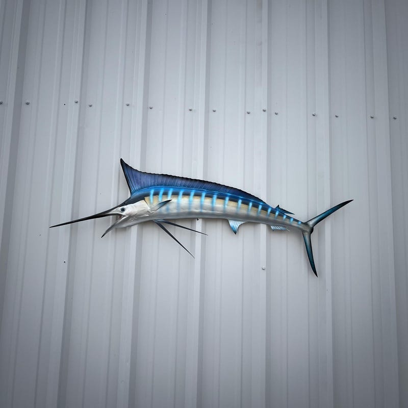 Fish Mounts White Marlin - Etsy