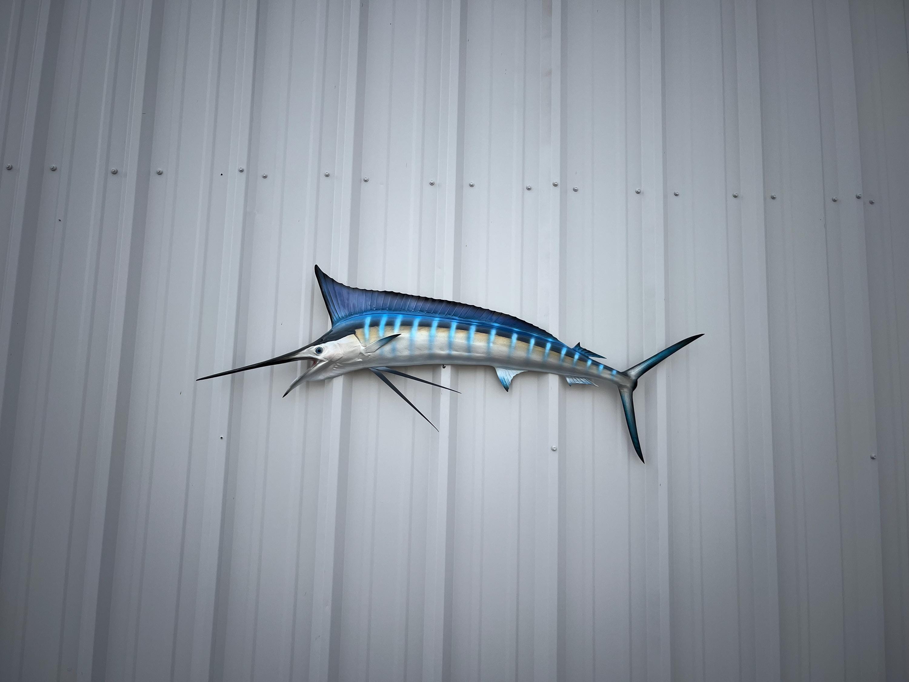 59” Blue Marlin Fish Mount - Etsy
