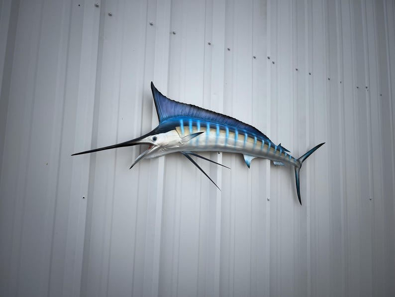 59” Blue Marlin Fish Mount - Etsy