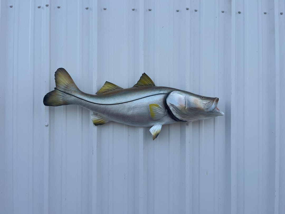 44” Snook Half Sided Fish Mount - Etsy