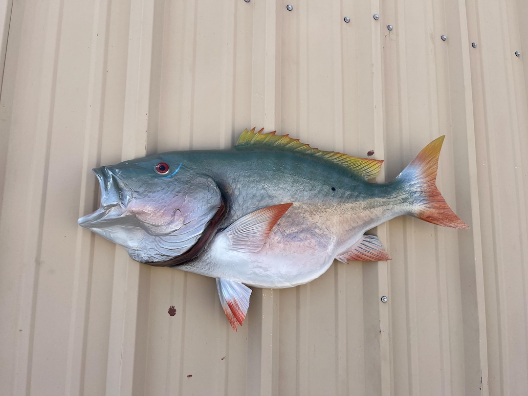 35” Mutton Snapper - Etsy
