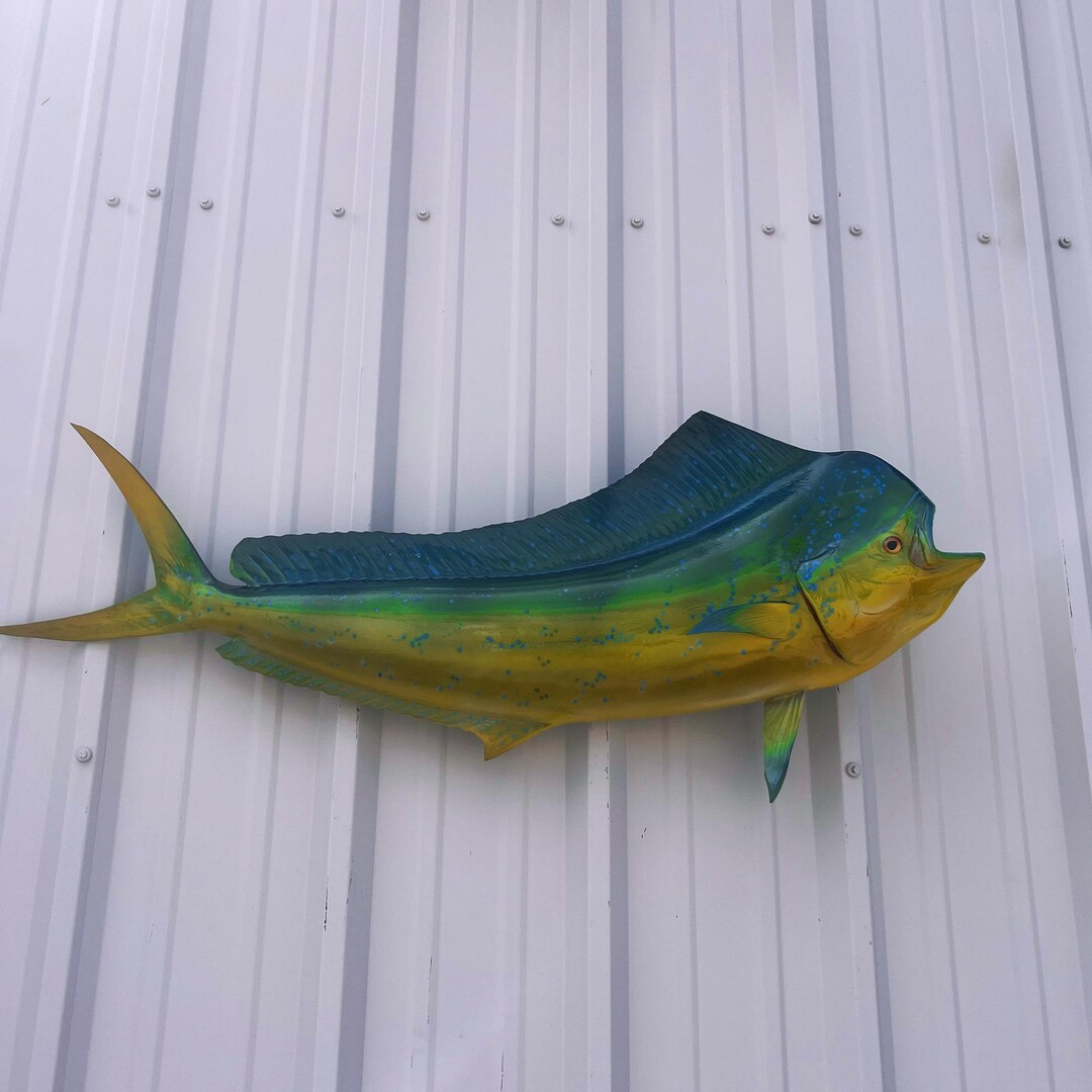 45” Full Mount Bull Dolphin Fish Mount - Etsy UK