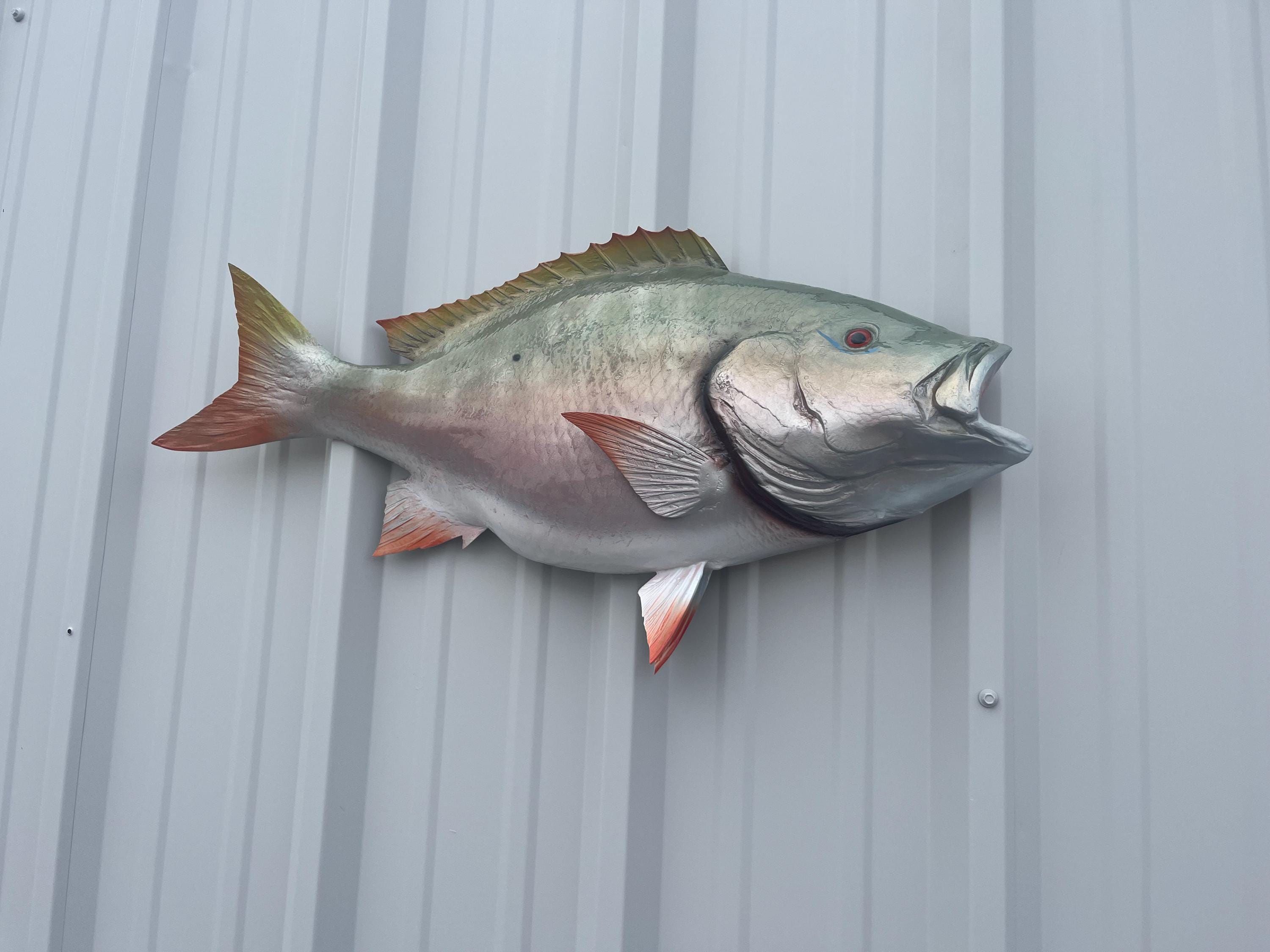 32” Mutton Snapper Half Sided Fish Mount - Etsy