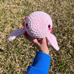 Macaron Turtle Crochet Pattern Regular Size Download Beginner Friendly ...