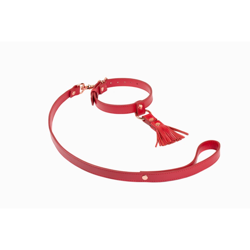 Red Leather Collar - Etsy