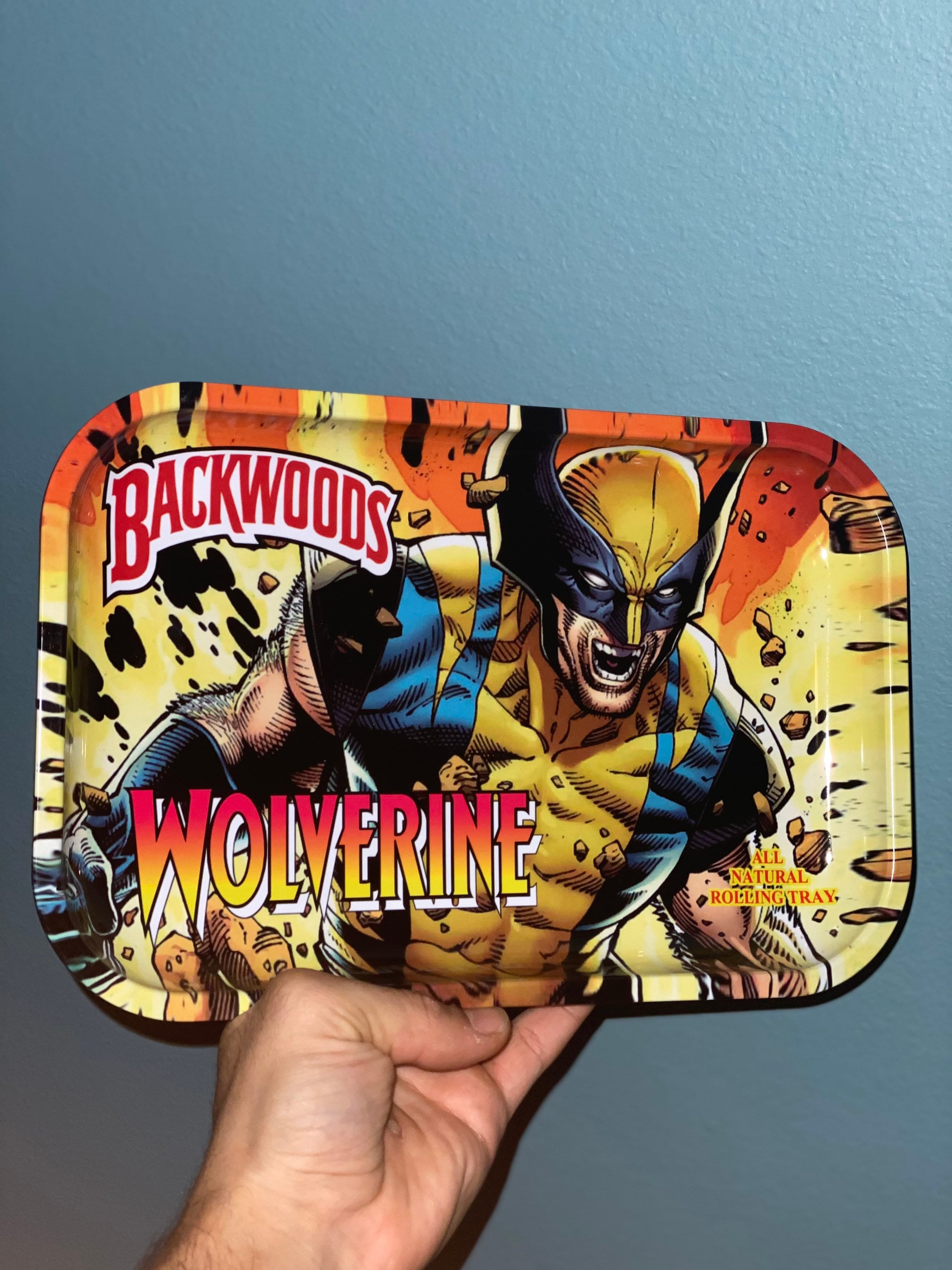 Backwoods Blue Cartoon Retro Vintage Video Game Metal Rolling TrayAsh ...