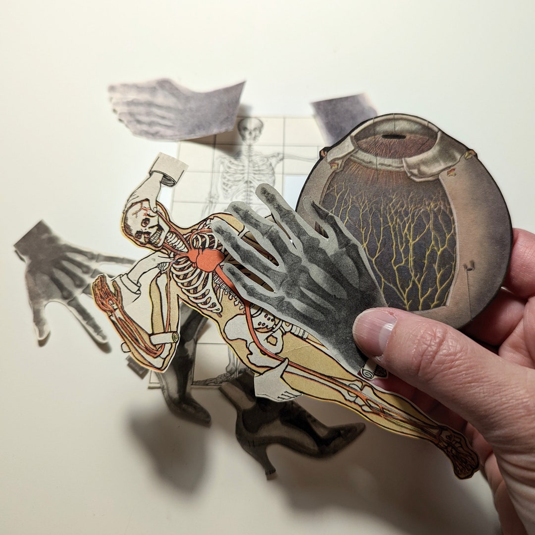 Anatomy Medical Illustrations PRINTABLE Set 4, Print at Home Set of 9 ...