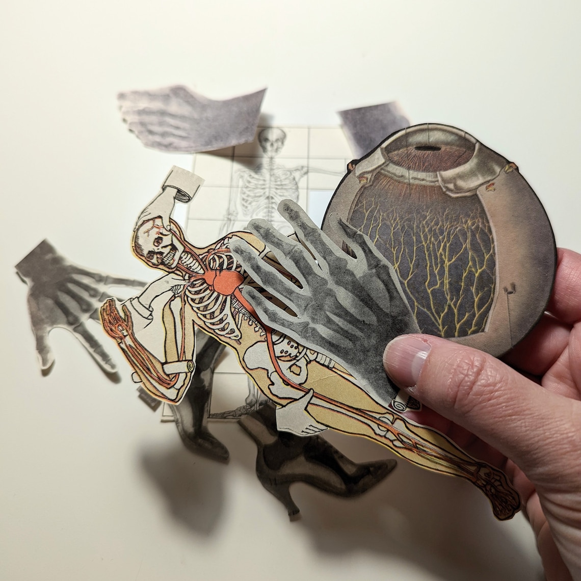 Anatomy Medical Illustrations PRINTABLE Set 4, Print at Home Set of 9 ...