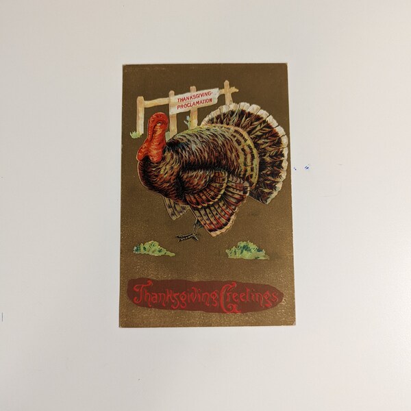Turkey Postcard - Etsy