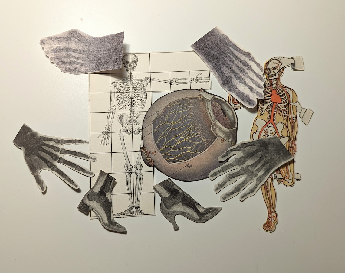 Anatomy Medical Illustrations PRINTABLE Set 4, Print at Home Set of 9 ...