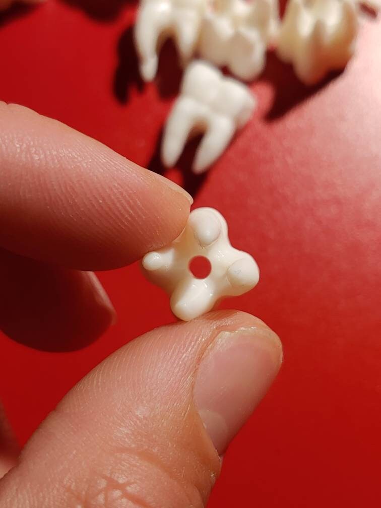 Plastic Teeth With Holes - Etsy