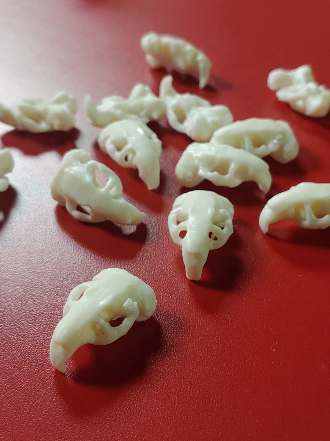 Rat Skull Plastic - Etsy