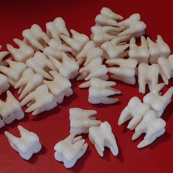 Fake Human Teeth - Etsy
