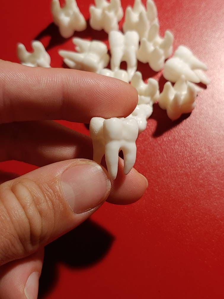 Plastic Teeth With Holes - Etsy