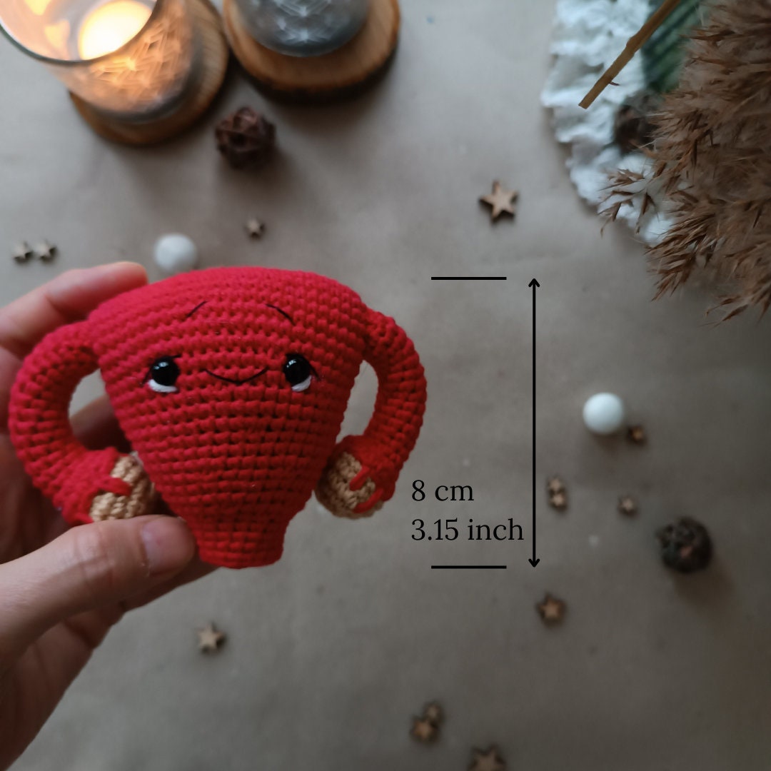 Crochet Pattern Uterus Model, Crochet Uterus, Amigurumi Uterus, Uterus ...