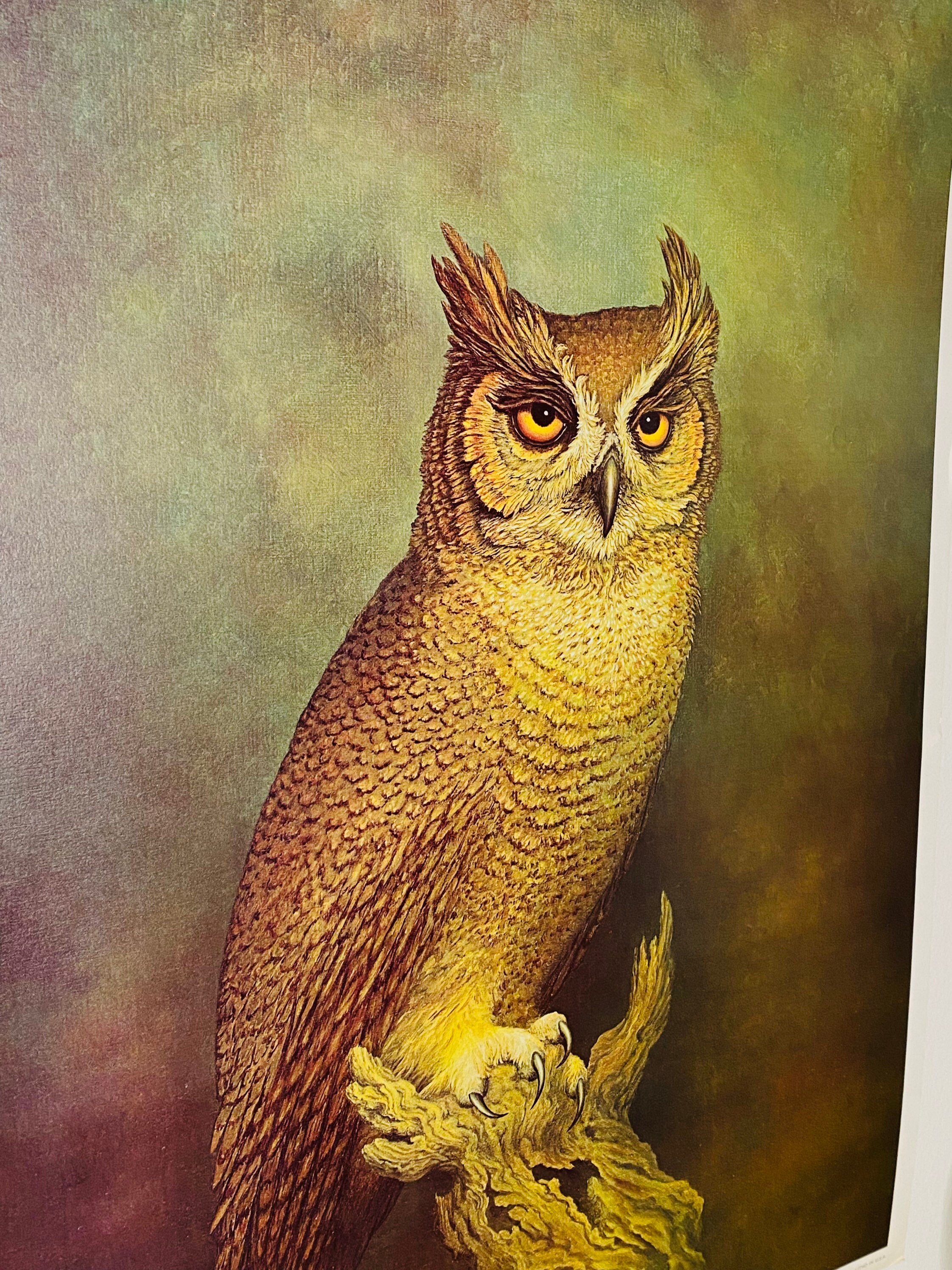 MCM 1977 the Owl by Rippel Art Image Inc Lithograph No 261 - Etsy