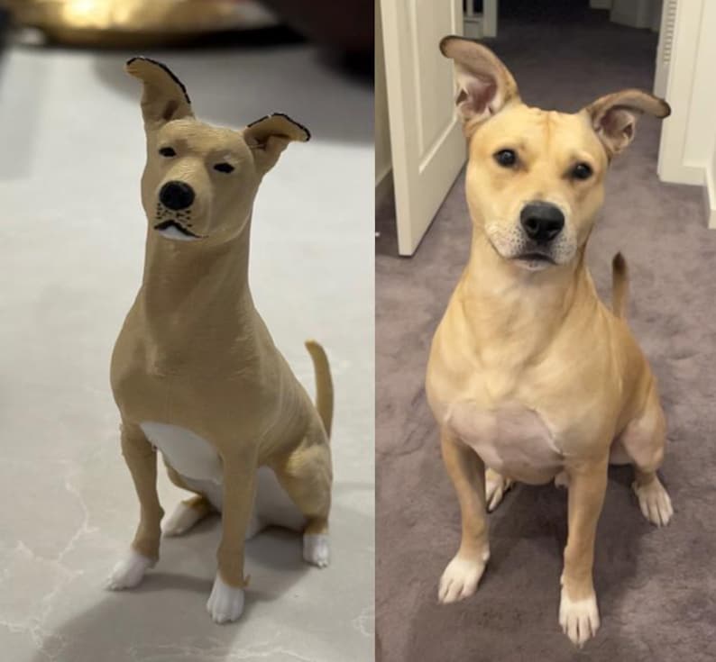 Custom 3D Printed Dog Model - Etsy