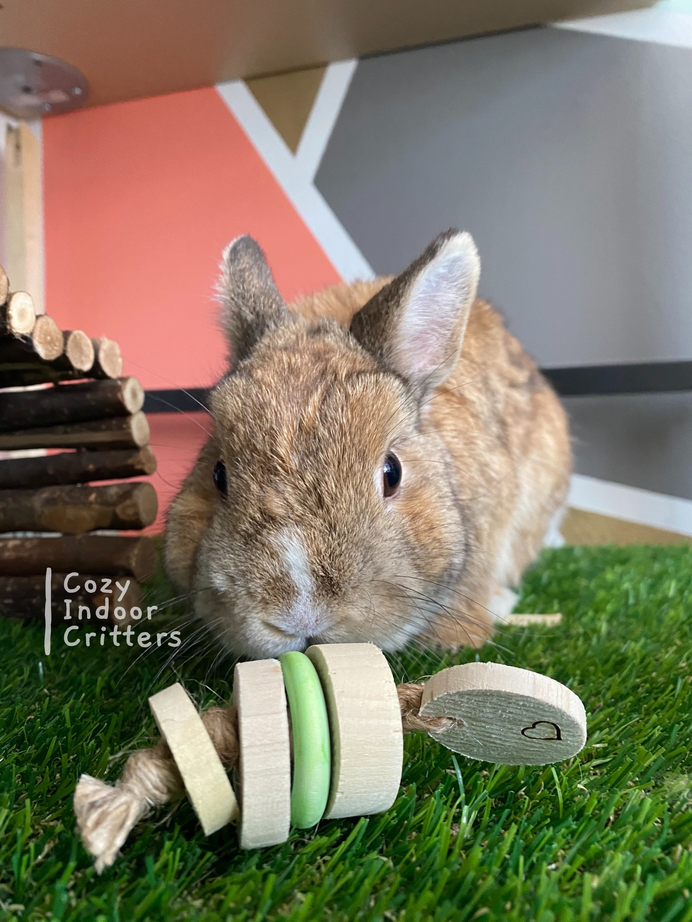 The Stubby Chew Rabbit Bunny/hamster/guinea Pig/rat Toy - Etsy