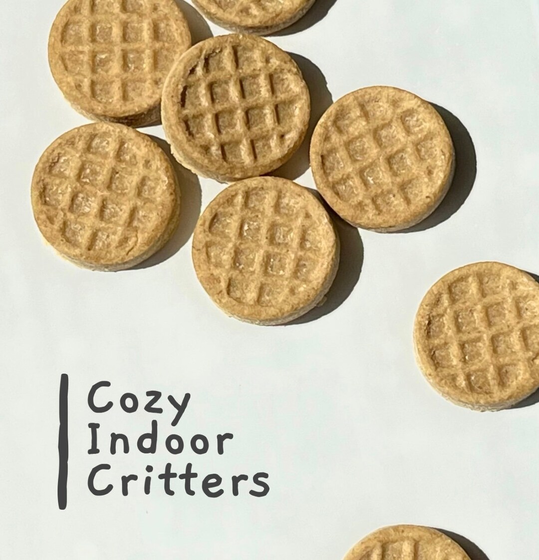 Mango Waffles - Rabbit Treats 8pk - Etsy