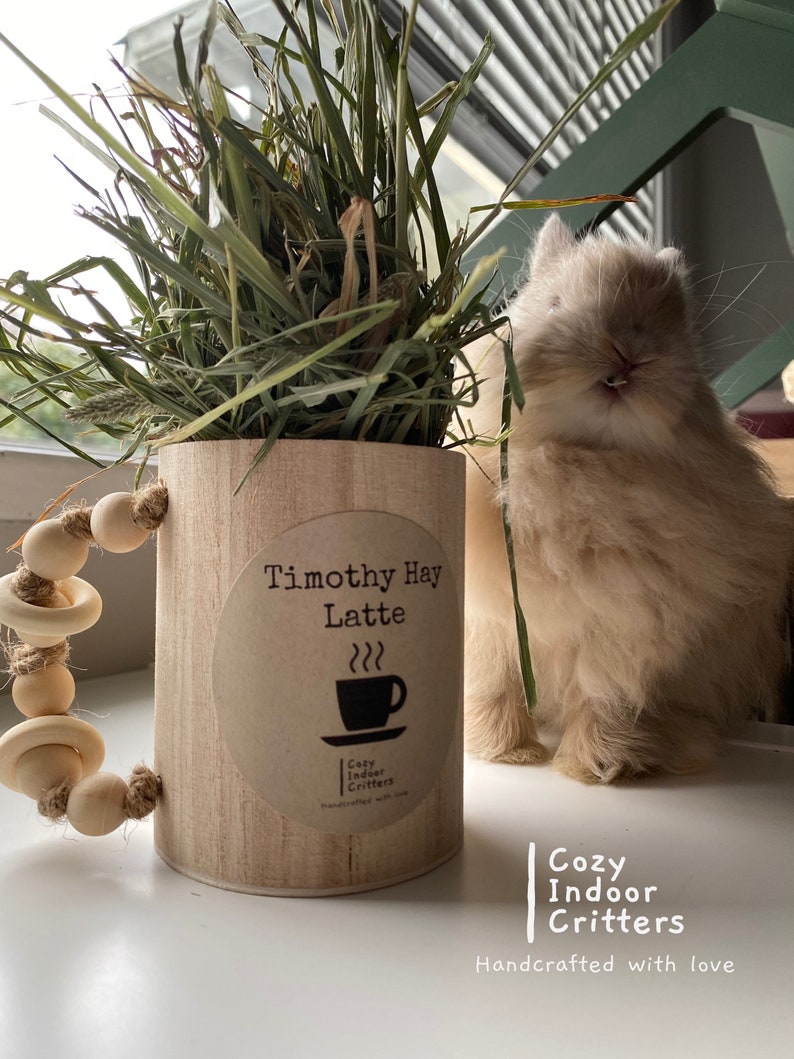 TIMOTHY HAY LATTE Bunny Rabbit Toy / Coffee Hay Feeder - Etsy