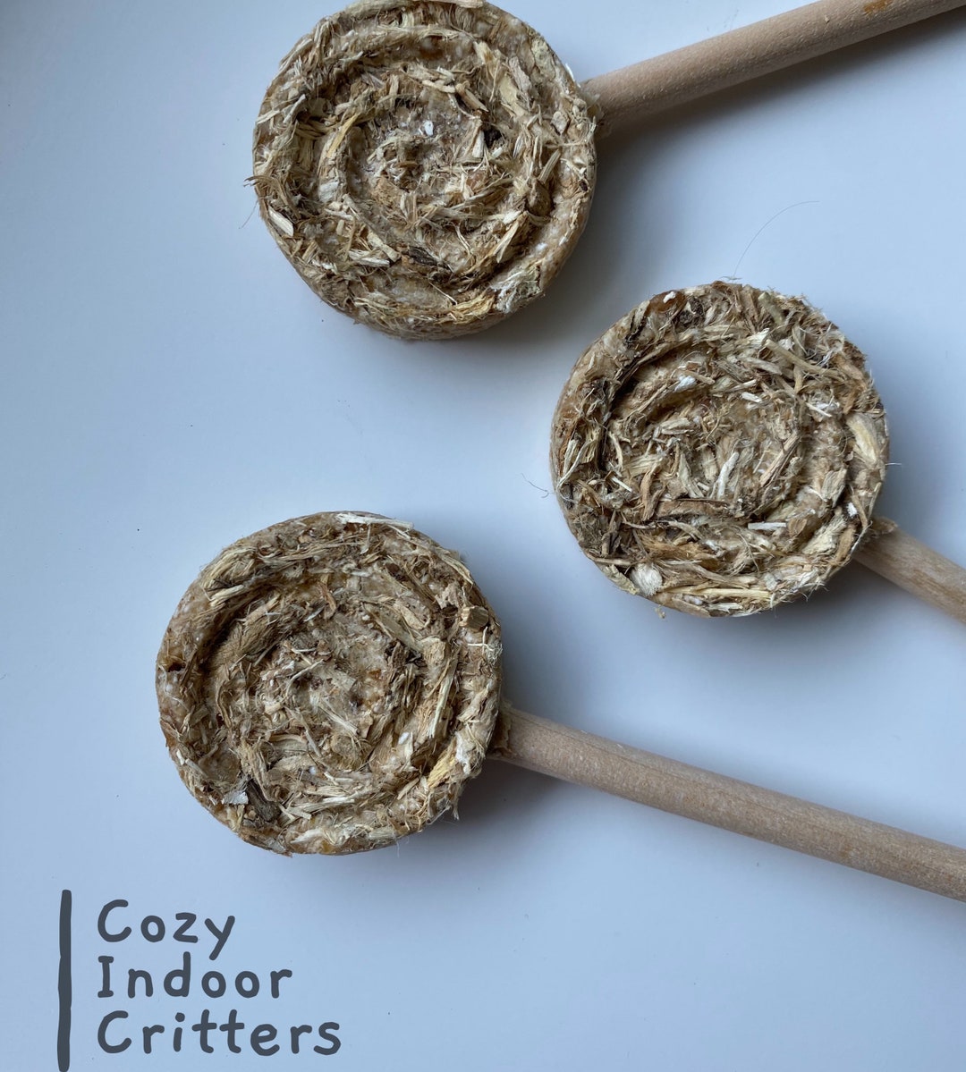 Banana Marshmallow Root Rabbit Lollipops! 3pk - Rabbit / Hamster / Rat ...