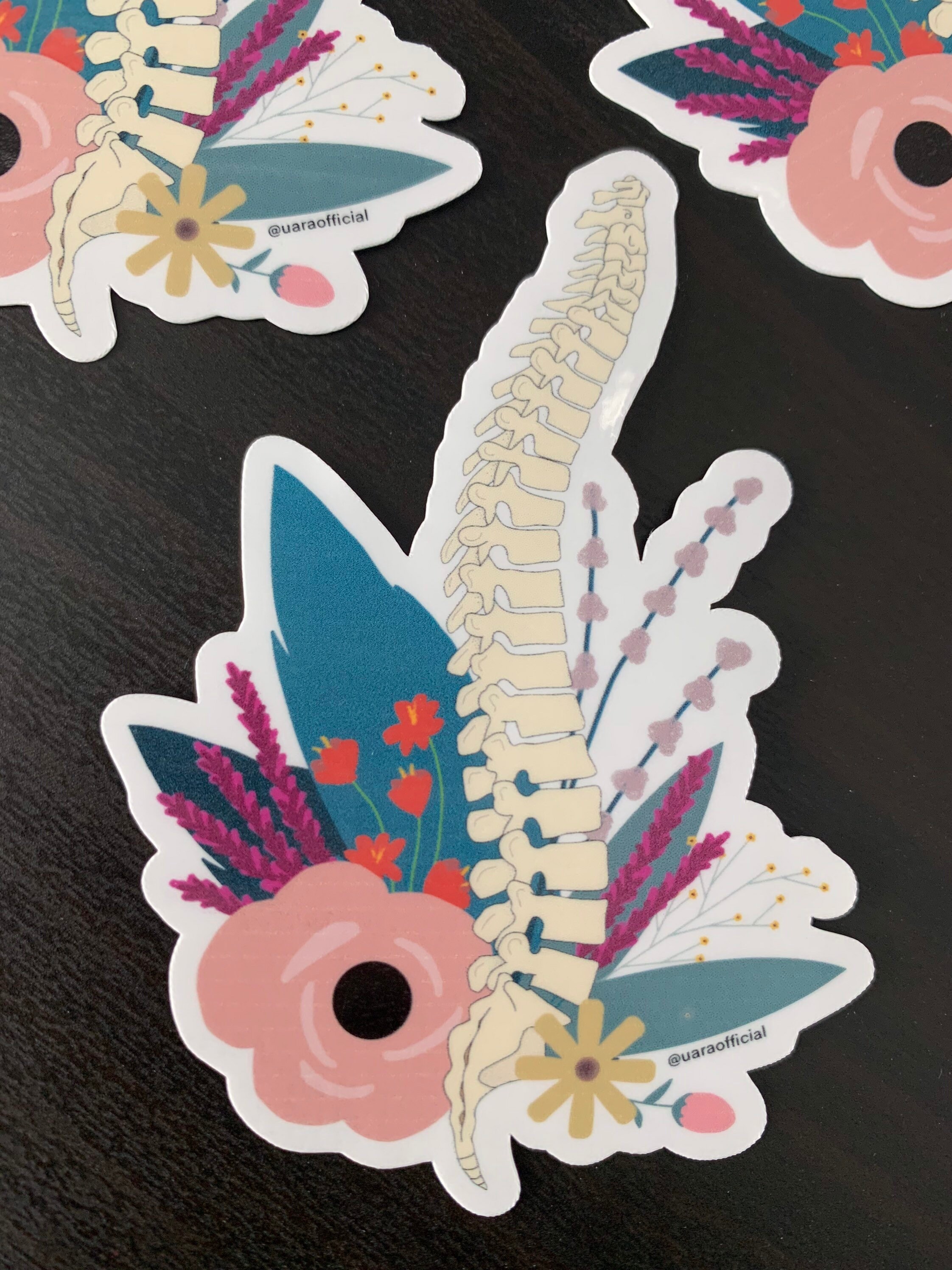 Spine Sticker and Print Anatomy and Plants Stickers | Etsy