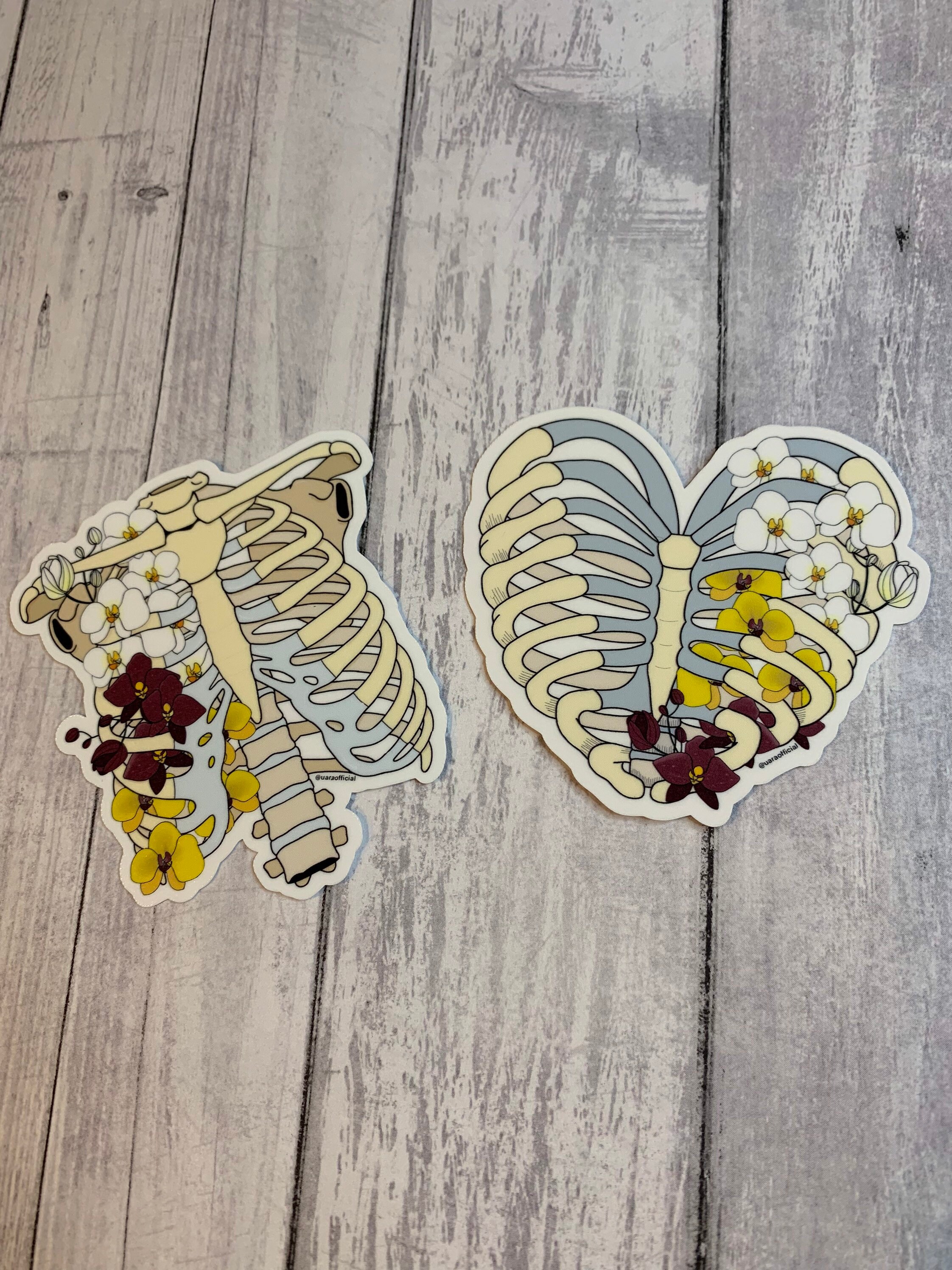 Thoracic Bloom | Anatomy and Plants Stickers | Vinyl Waterproof ...