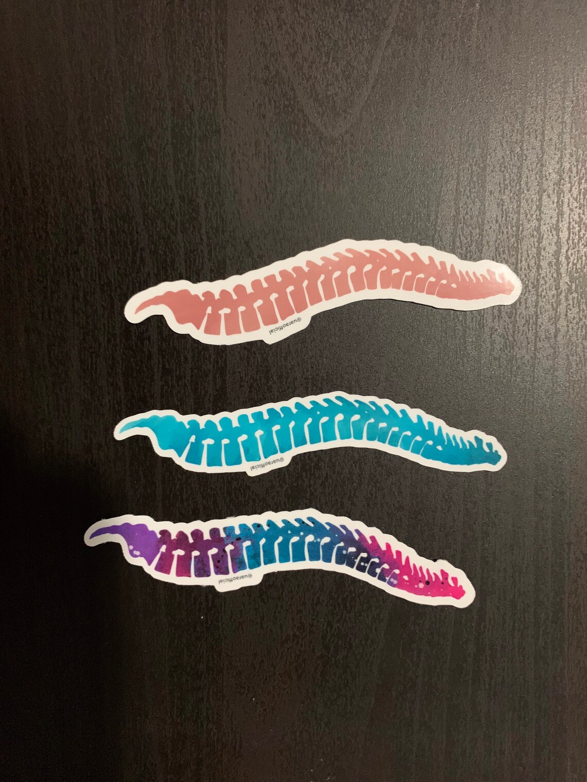 Watercolor Spine Sticker Anatomy Stickers Vinyl Waterproof | Etsy