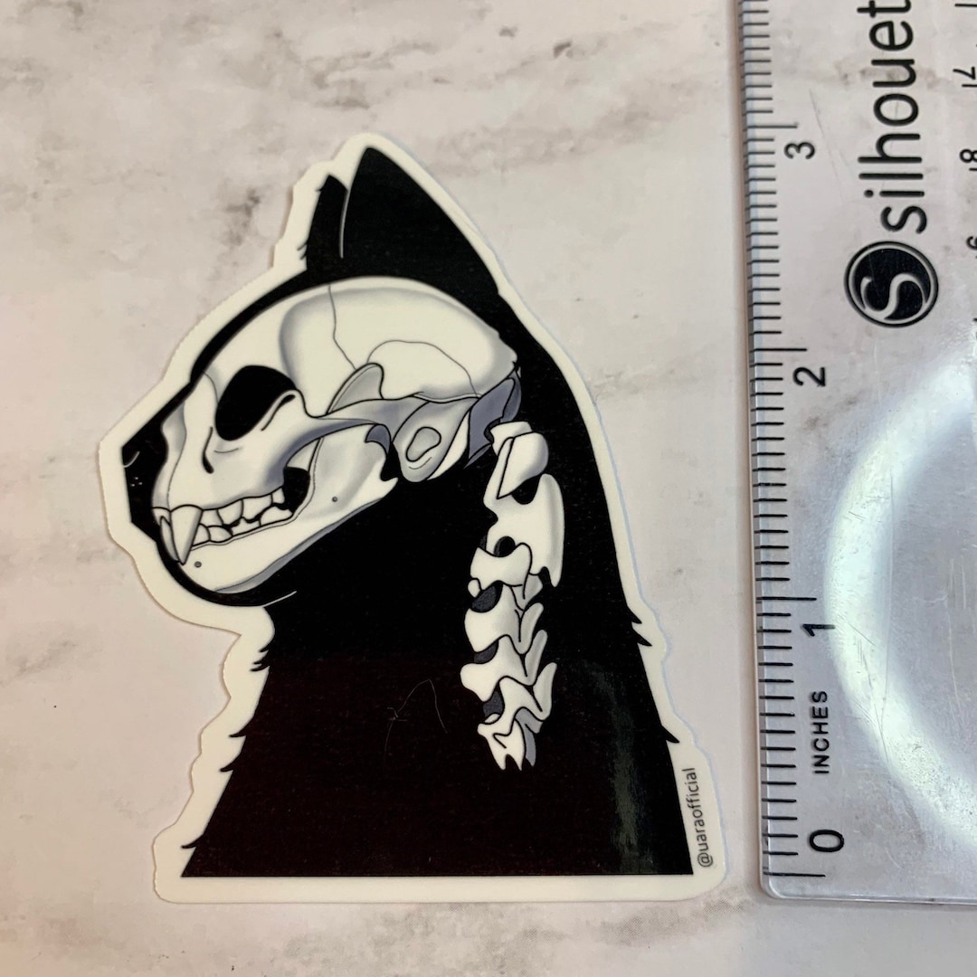 Cat Anatomy Sticker | Animal Chiropractic Sticker | Veterinary Sticker ...