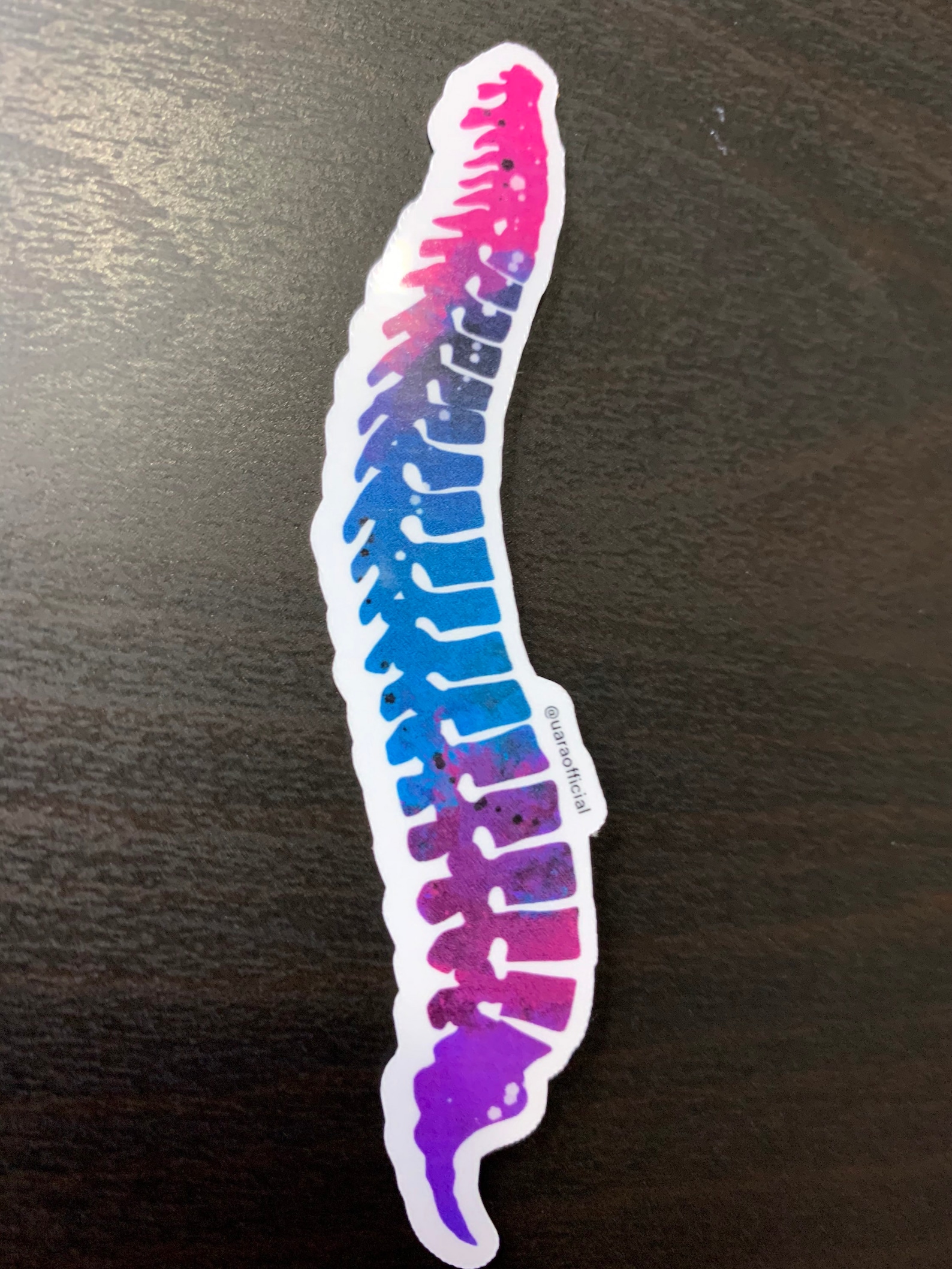 Watercolor Spine Sticker Anatomy Stickers Vinyl Waterproof | Etsy