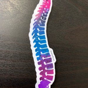 Watercolor Spine Sticker | Anatomy Stickers | Vinyl Waterproof Stickers ...
