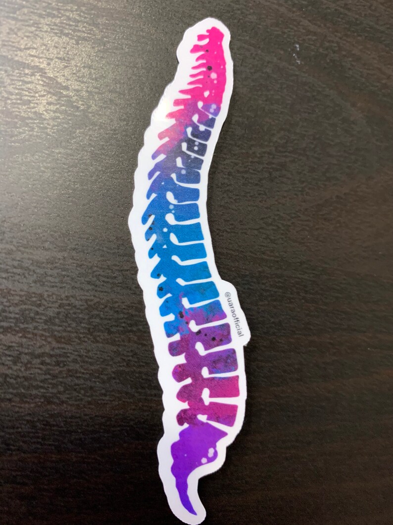 Watercolor Spine Sticker Anatomy Stickers Vinyl Waterproof - Etsy