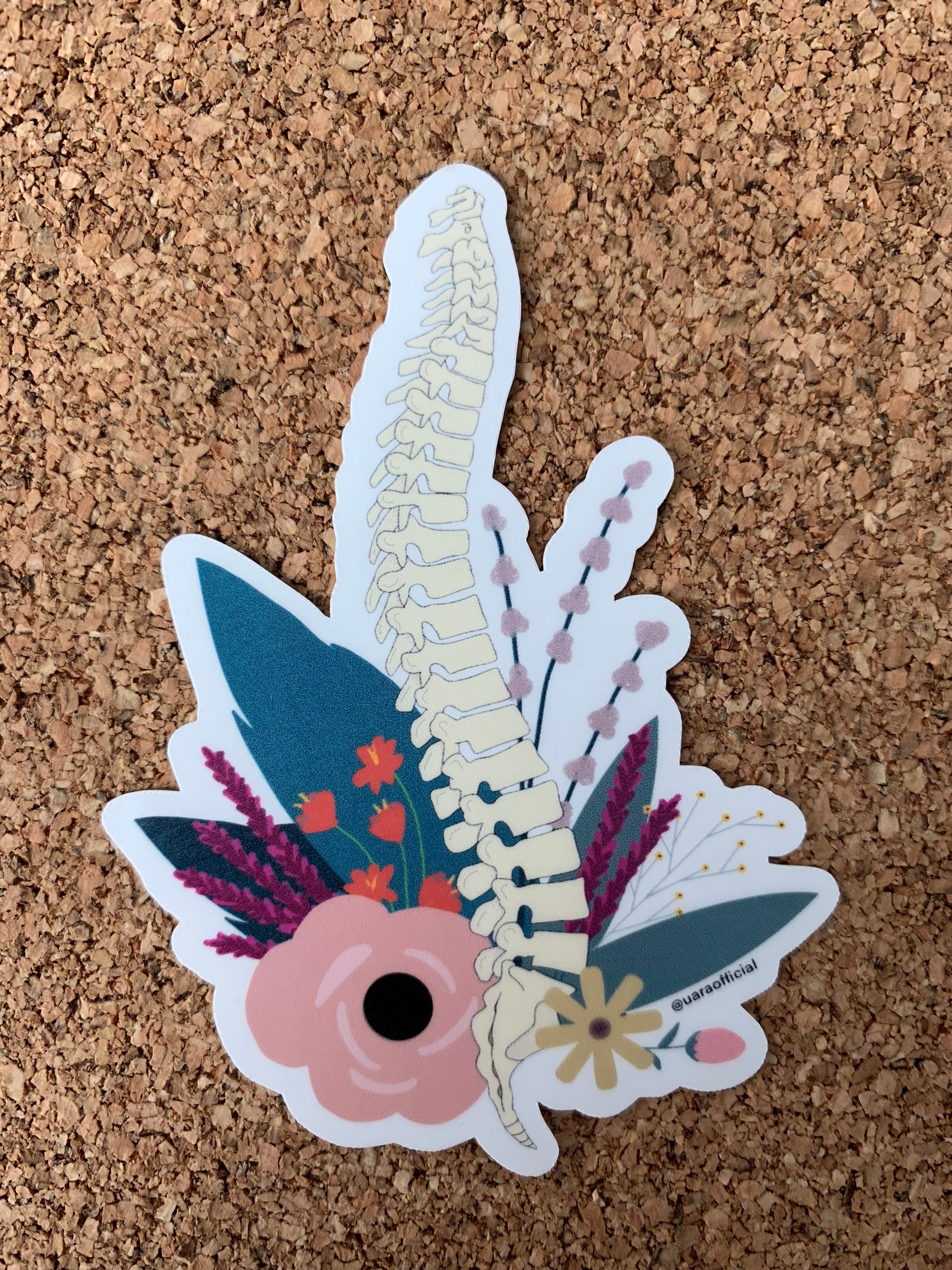 Spine Sticker and Print Anatomy and Plants Stickers | Etsy