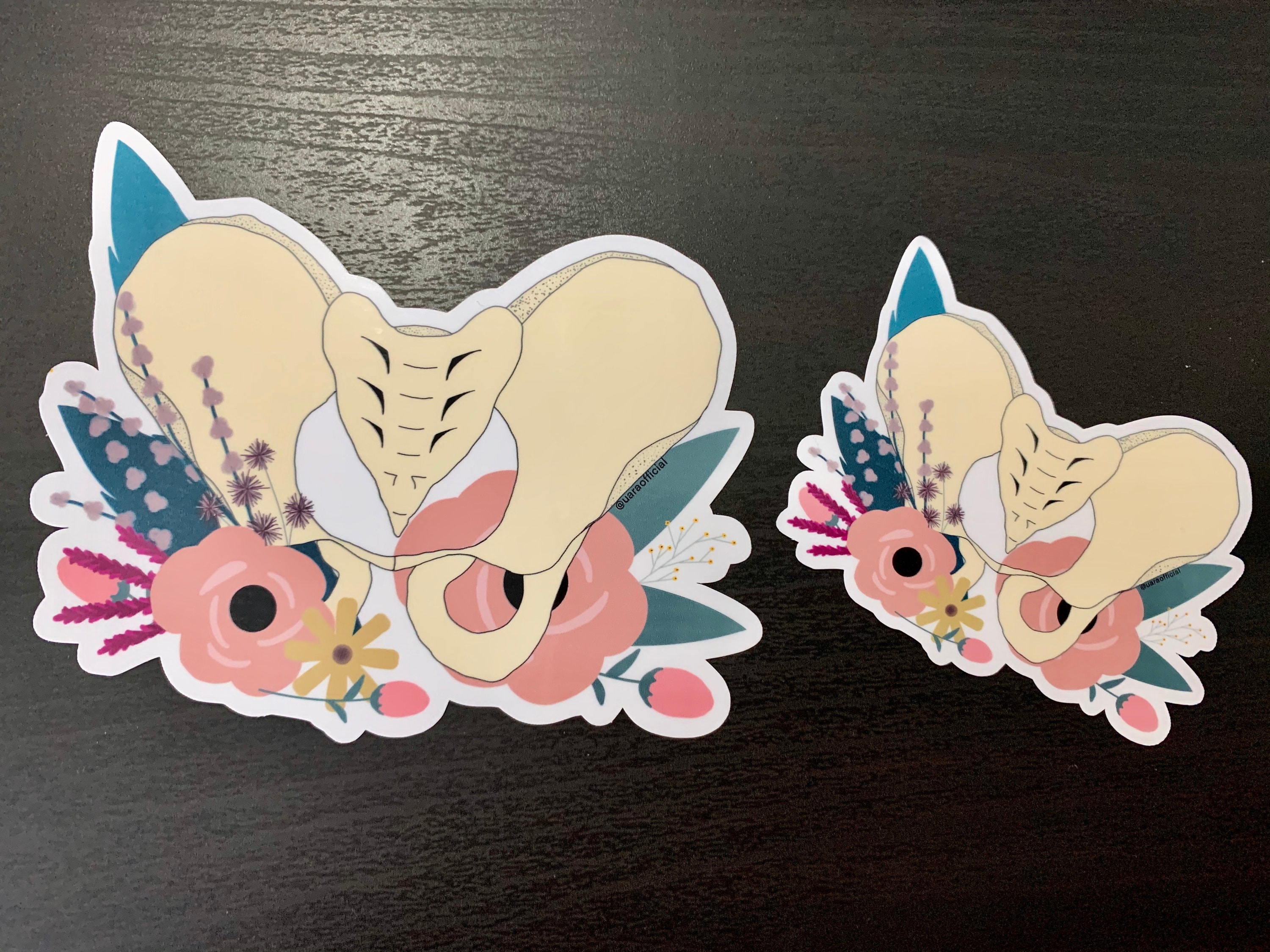 Butterfly Pelvis Anatomy Stickers Vinyl Waterproof | Etsy