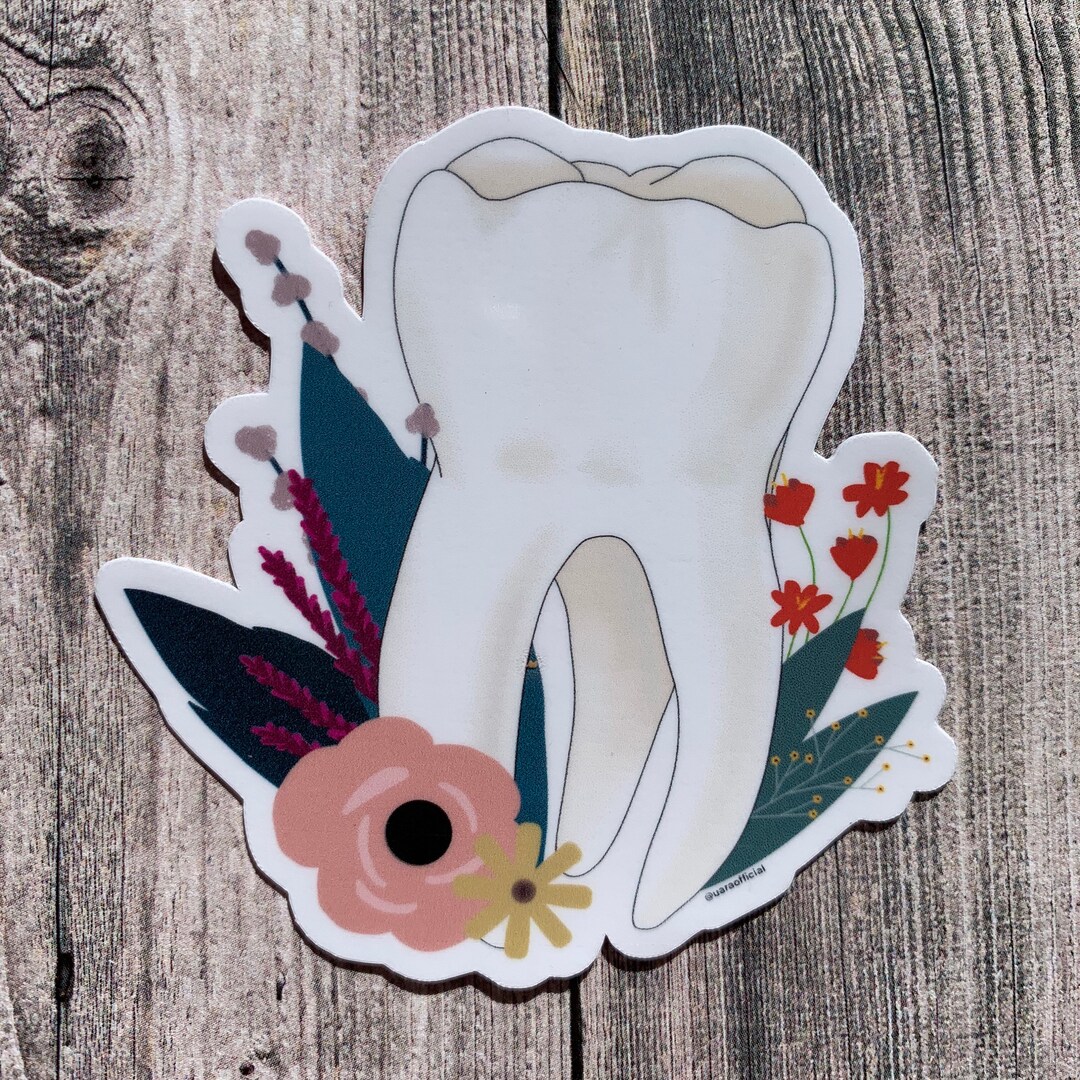 Molar | Anatomy Stickers | Vinyl Waterproof Stickers | Dentist | Dental ...