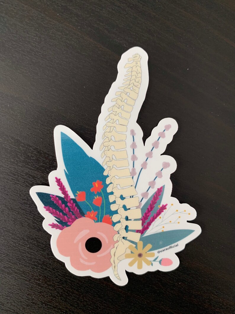 Spine Sticker and Print Anatomy and Plants Stickers | Etsy