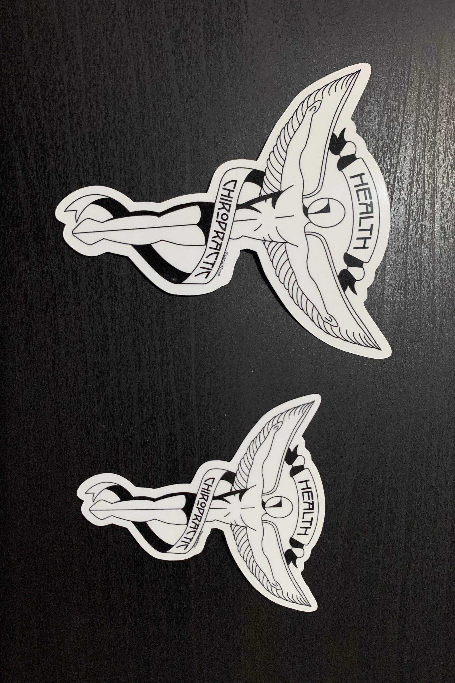 Chiropractic Stickers Collection vinyl waterproof stickers | Etsy