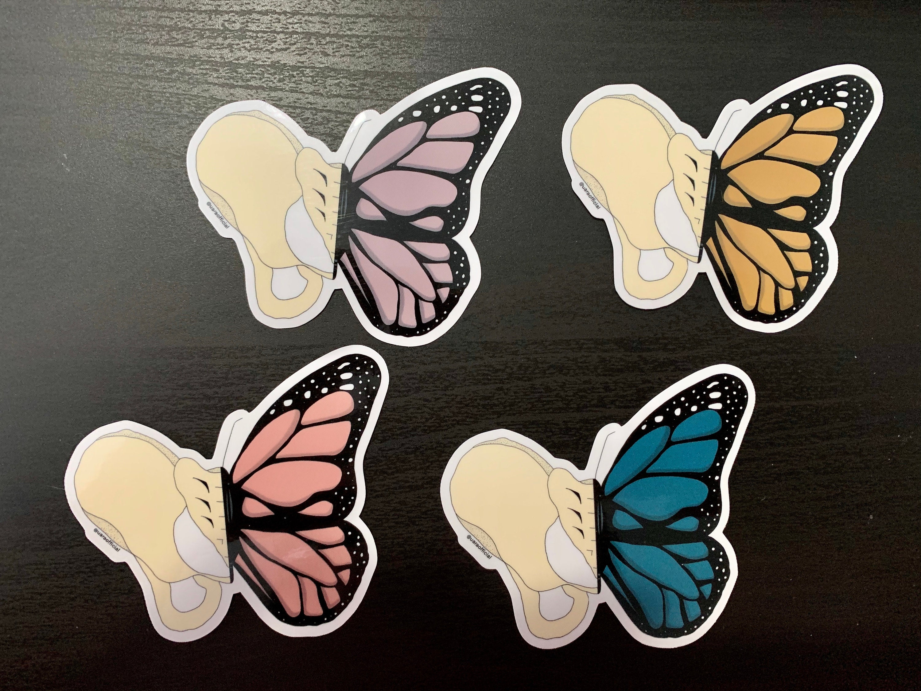 Butterfly Pelvis Anatomy Stickers Vinyl Waterproof | Etsy