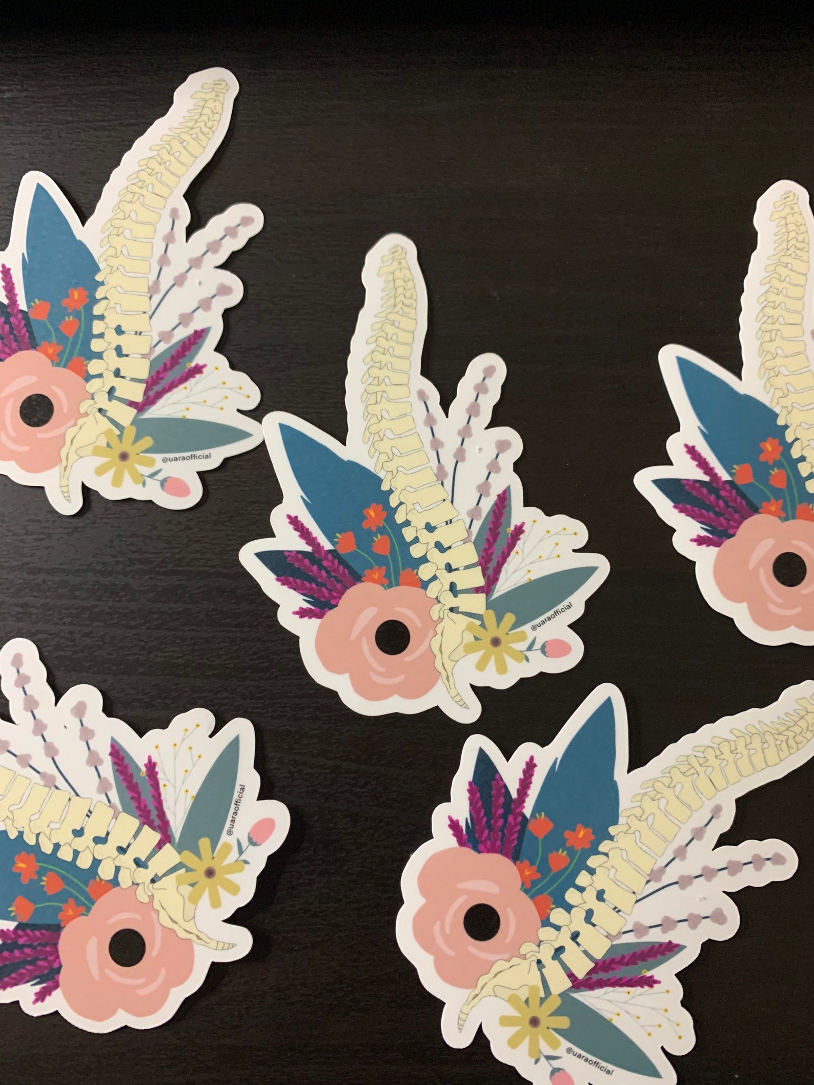 Spine Sticker and Print Anatomy and Plants Stickers | Etsy