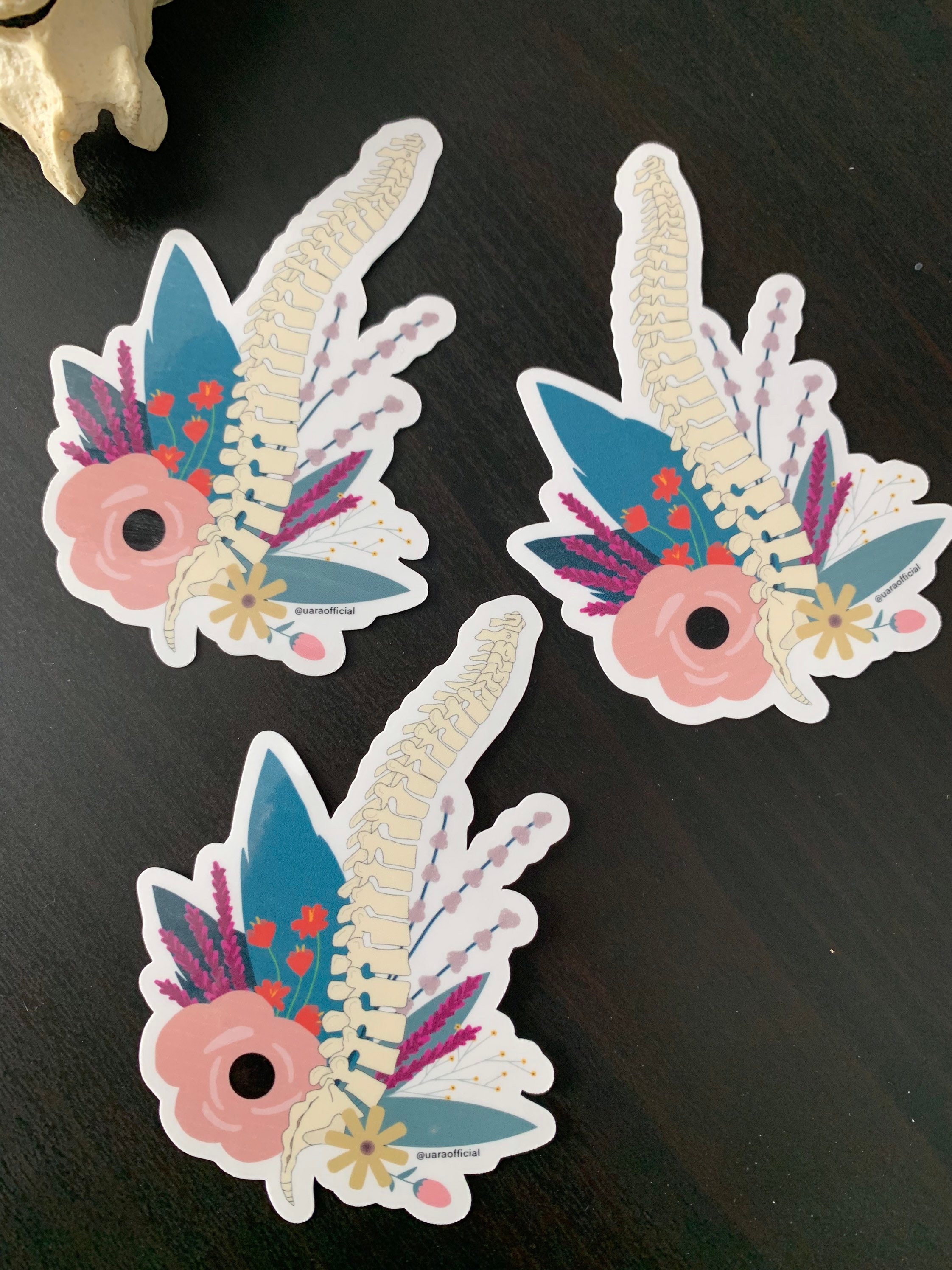 Spine Sticker and Print Anatomy and Plants Stickers | Etsy